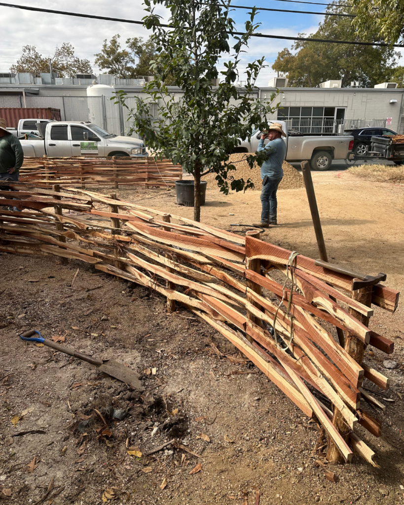 Building Wattle Fencing for Our Austin Design Workshop - Amity Worrel